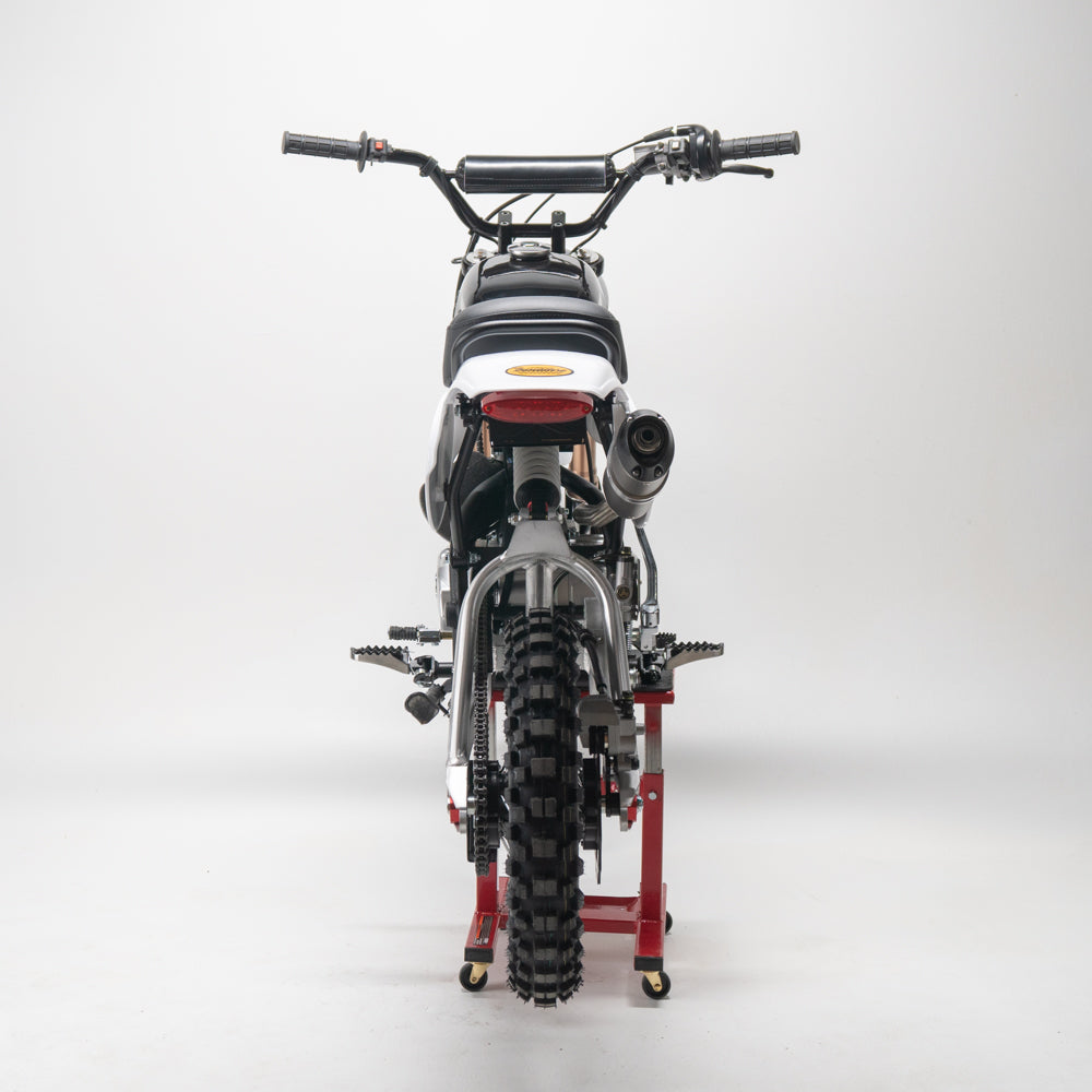 Buscadero™ BSX 110 Pit Bike – Buscadero Motorcycles
