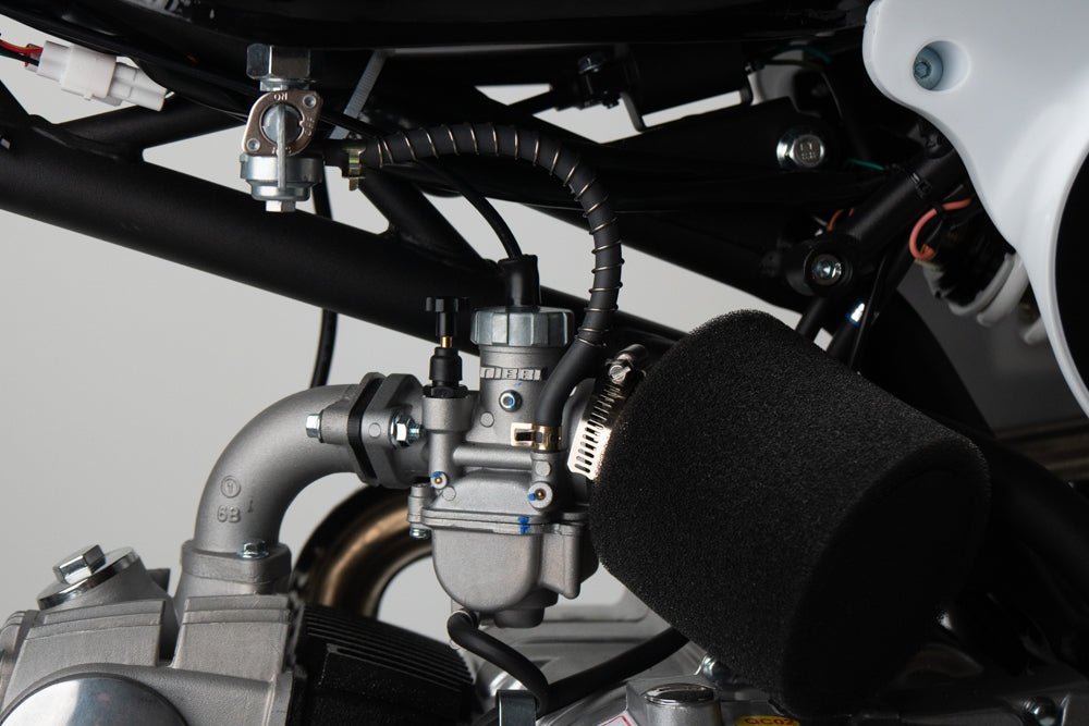 Buscadero™ BSX 110 Pit Bike – Buscadero Motorcycles